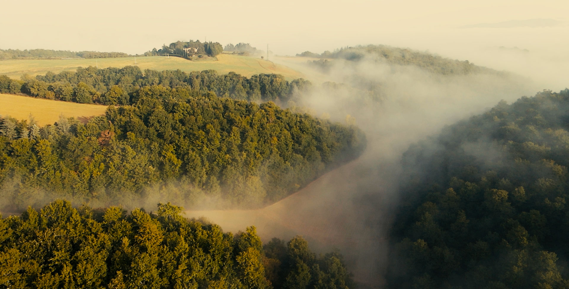 TIM Group | At the forefront of preserving biodiversity