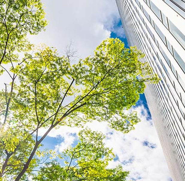 TIM Group | Noovle, sustainable data centres